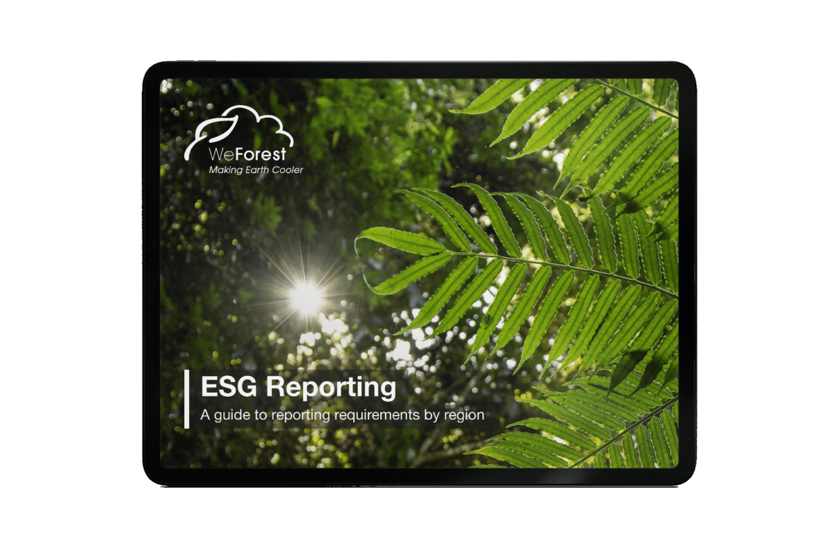 Navigating ESG Reporting: WeForest's Comprehensive Guide