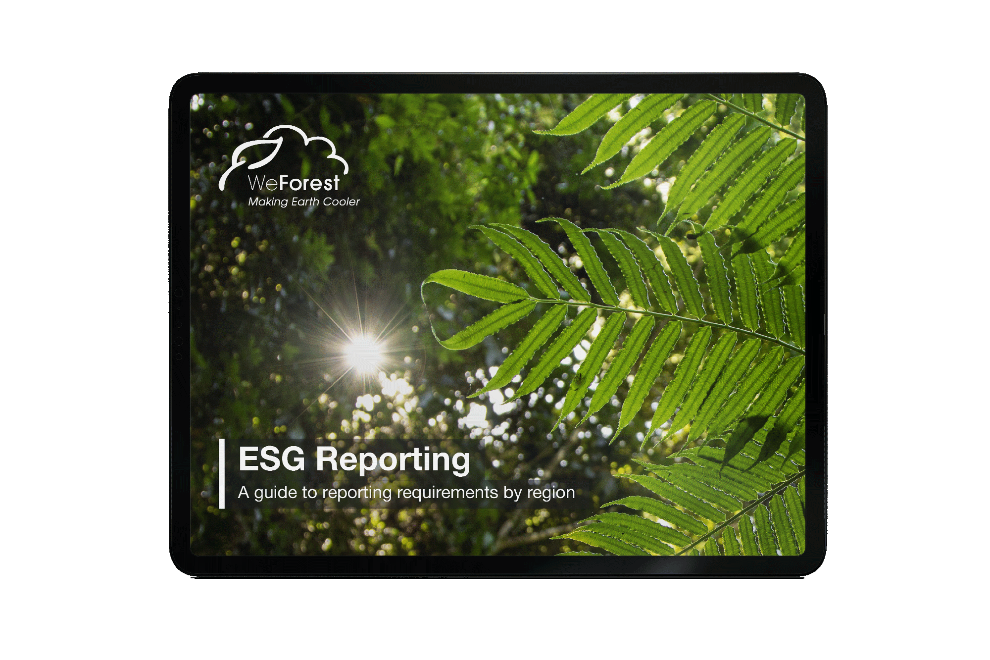 Navigating ESG Reporting: WeForest's Comprehensive Guide