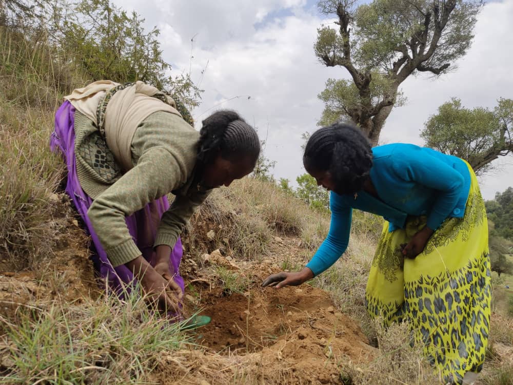 The solutions to climate change: A helpful, hopeful guide - WeForest