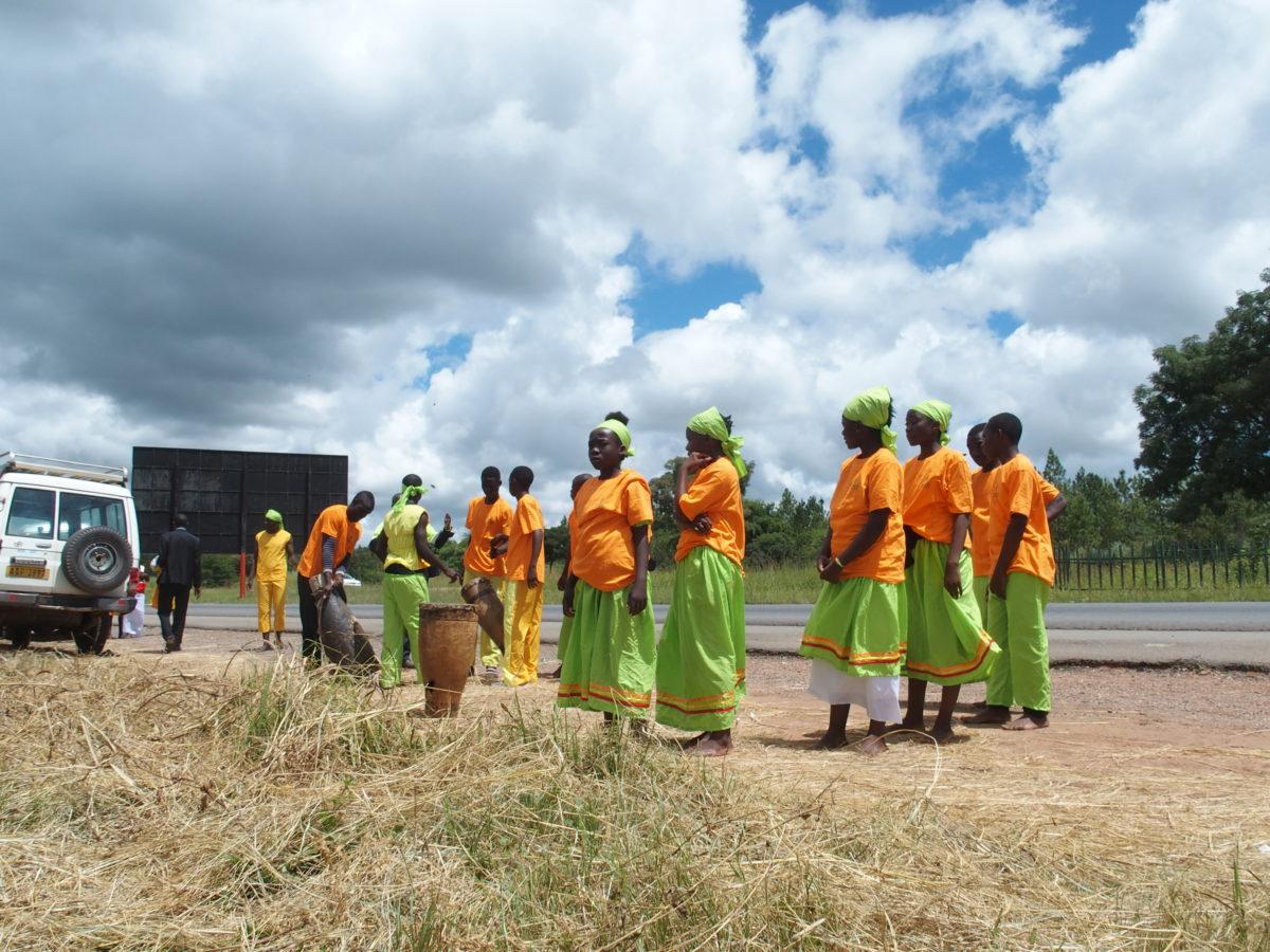 Together we planted 15 million trees! - WeForest